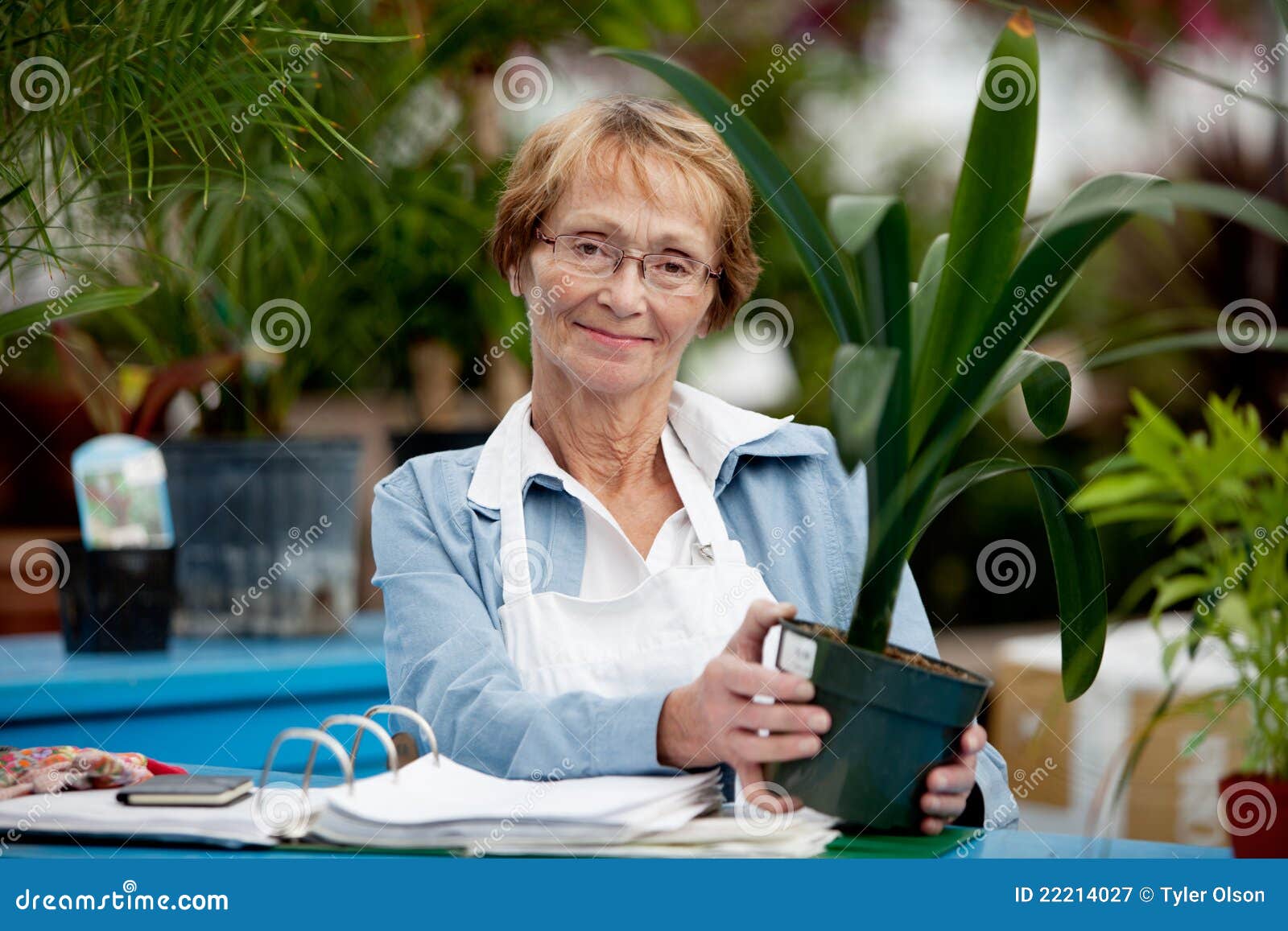 Senior Woman Working stock image. Image of employee, help - 22214027