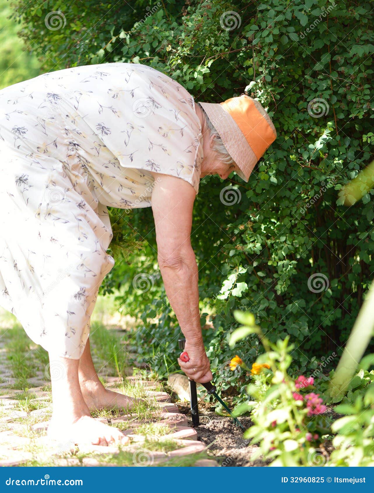 Senior Woman Working in Garden. Stock Image - Image of happy, people ...