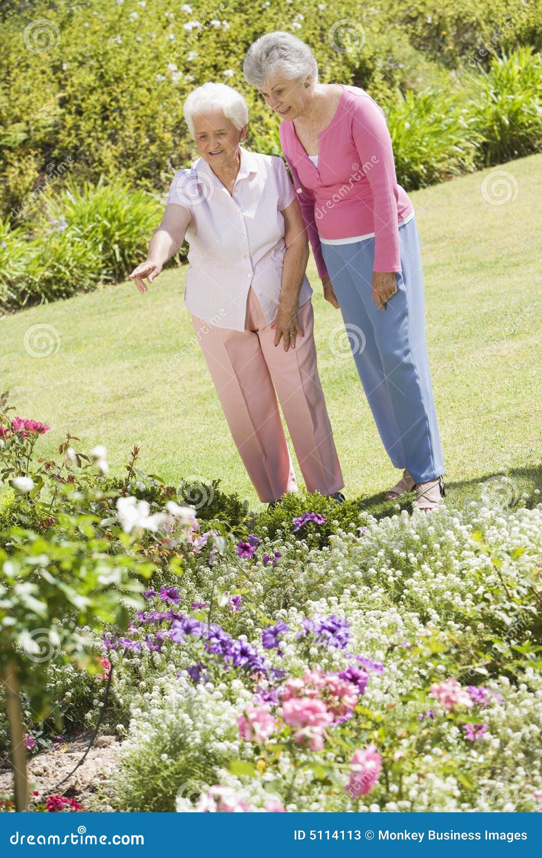 Senior women in garden stock image. Image of home, mature - 5114113