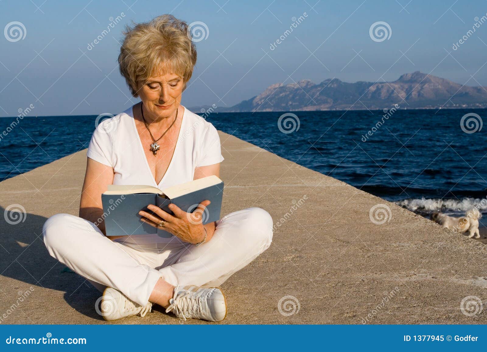Senior women - reading stock image. Image of summer, retired - 1377945