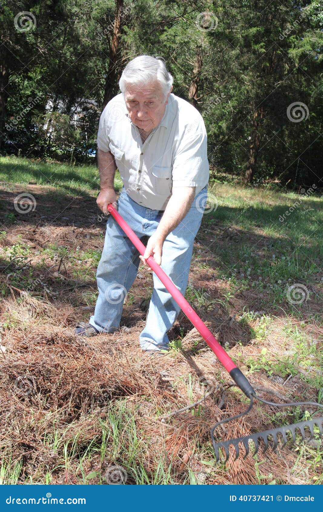 Forever Young And Happy. Fun Activity Stock Image | CartoonDealer.com ...