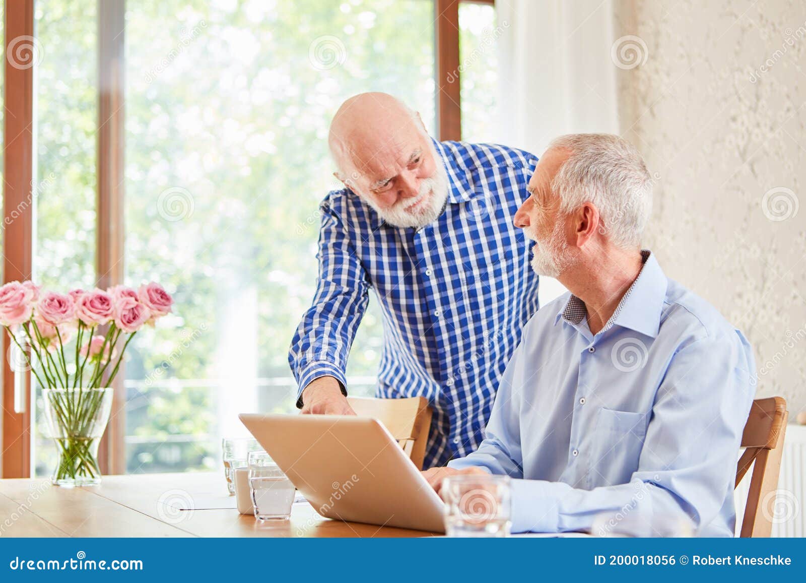 Seniors As Pensioners on Laptop Computer Stock Photo - Image of digital ...
