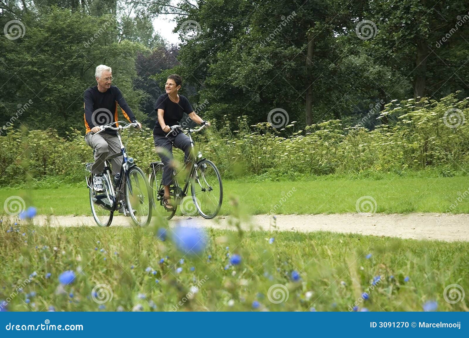 Seniors Biking stock photo. Image of body, fitness, outfit - 3091270