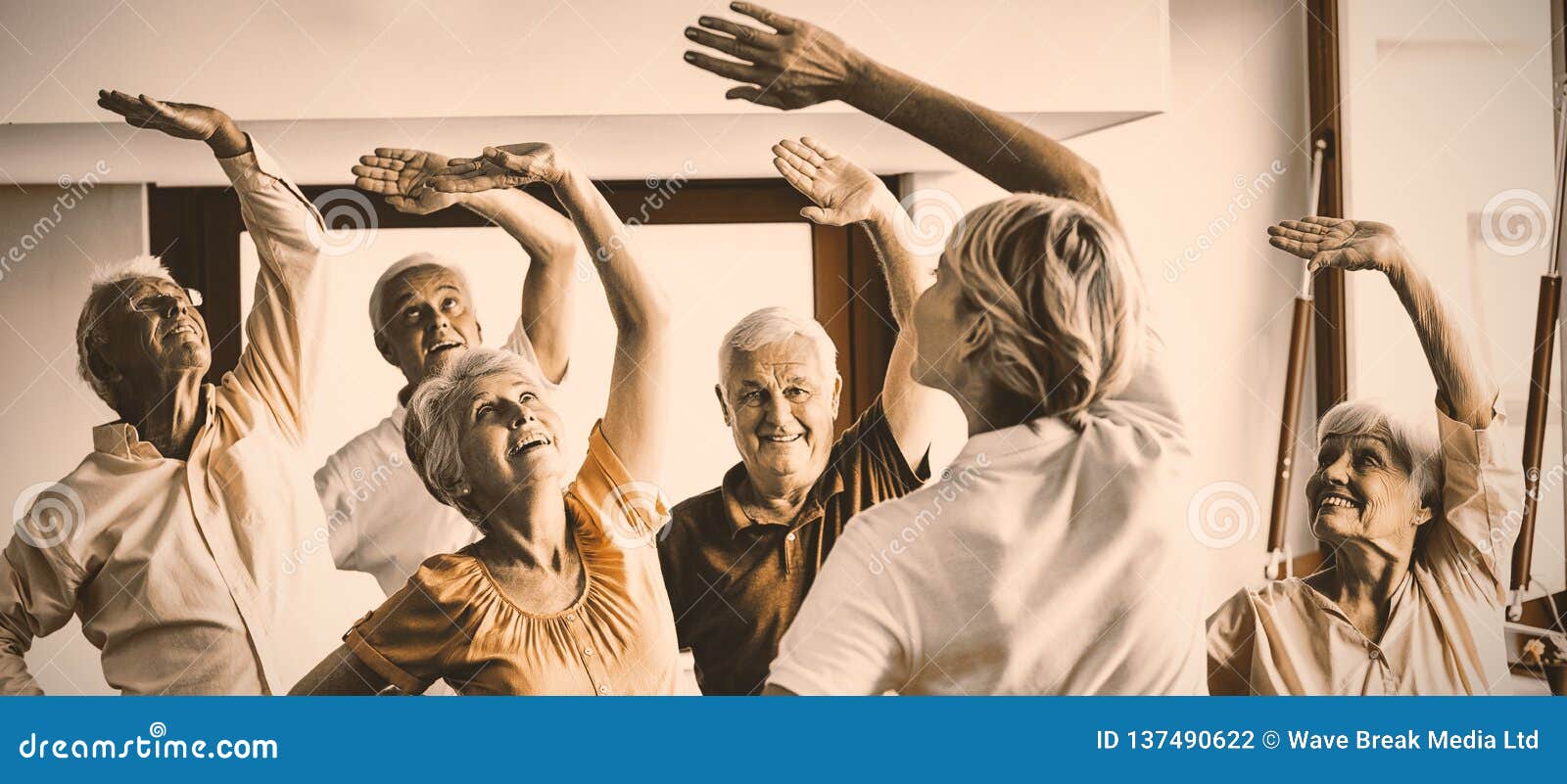 Seniors doing exercises stock photo. Image of exercises - 137490622