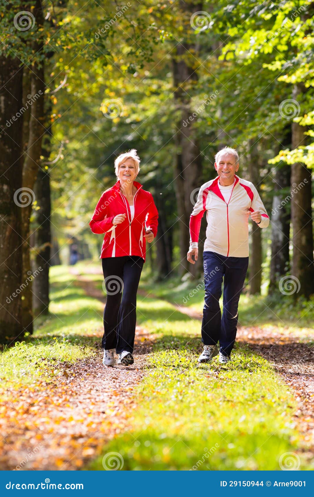 Seniors Jogging on a Forest Road Stock Photo - Image of autumn ...