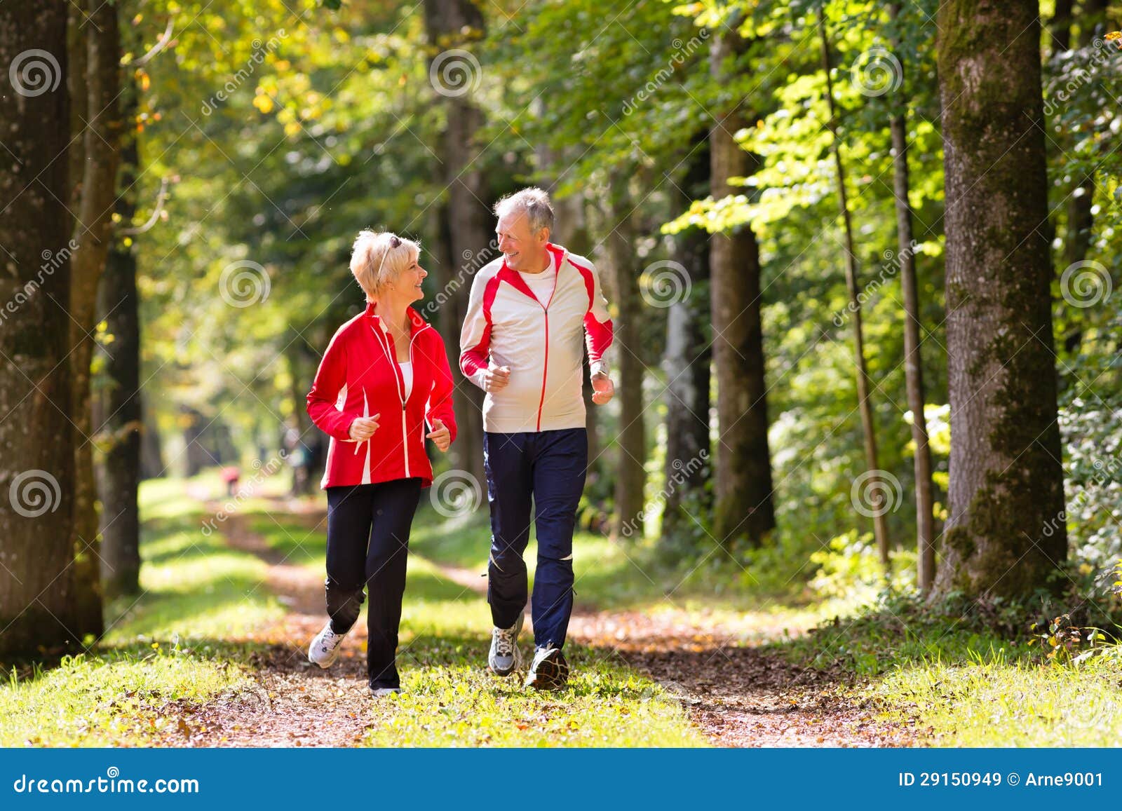 Seniors Jogging on a Forest Road Stock Image - Image of fitness, women ...
