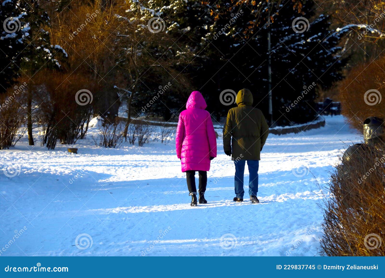 Seniors Stroll through the Park in Winter Stock Image - Image of ...