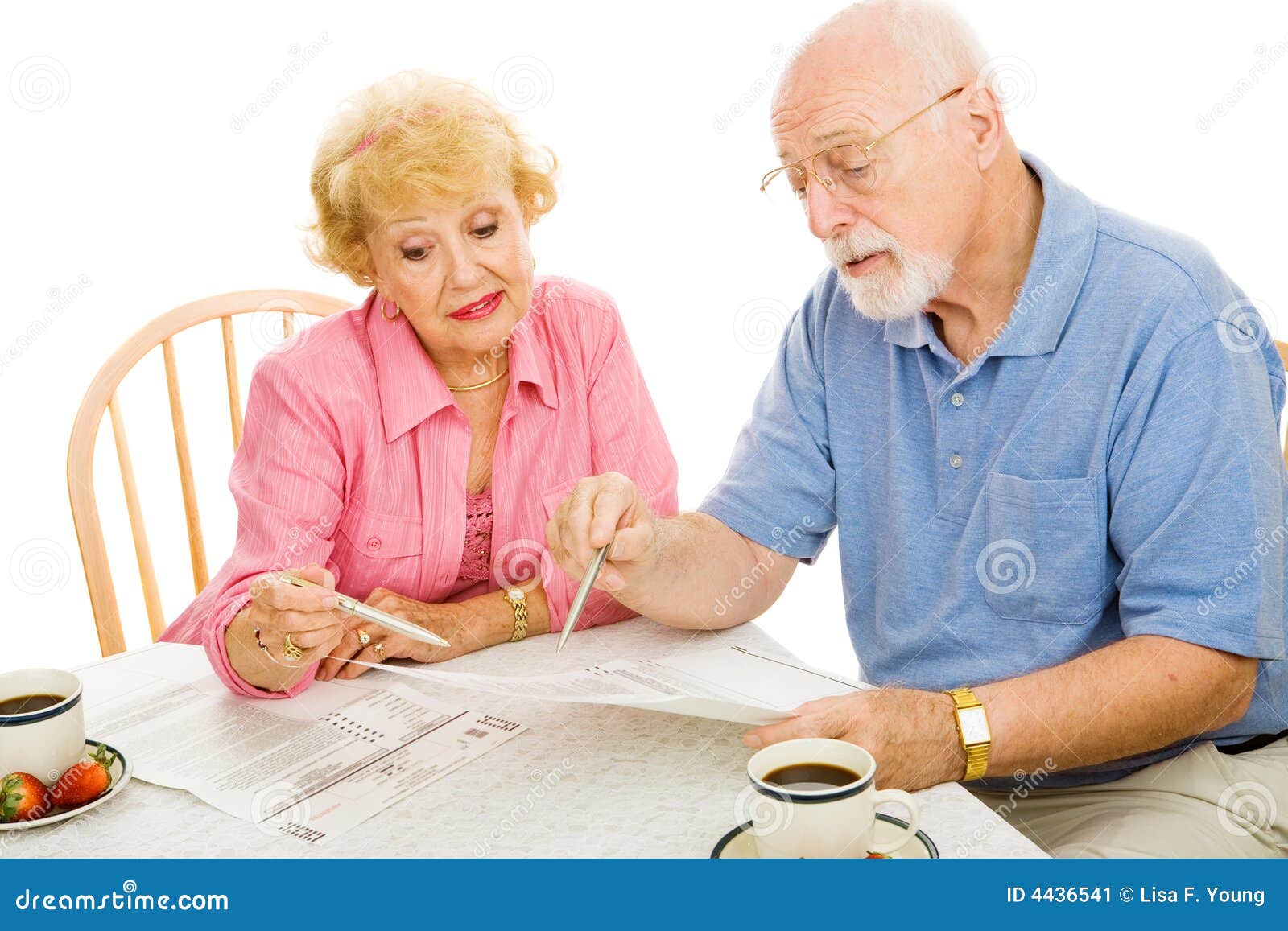 Seniors Voting from Home stock image. Image of happy, convenience - 4436541