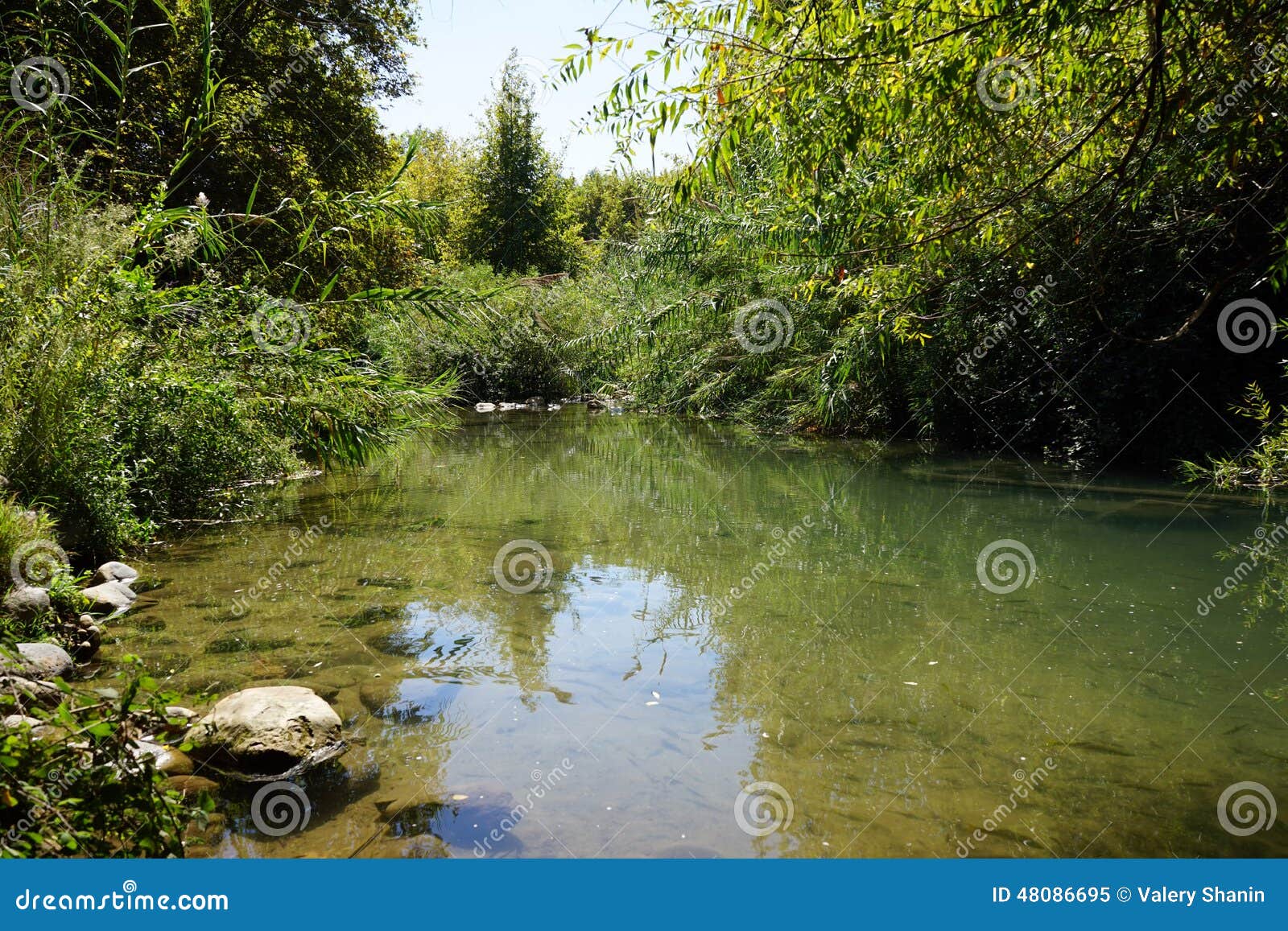 Senir River Stock Photos - Free & Royalty-Free Stock Photos from Dreamstime