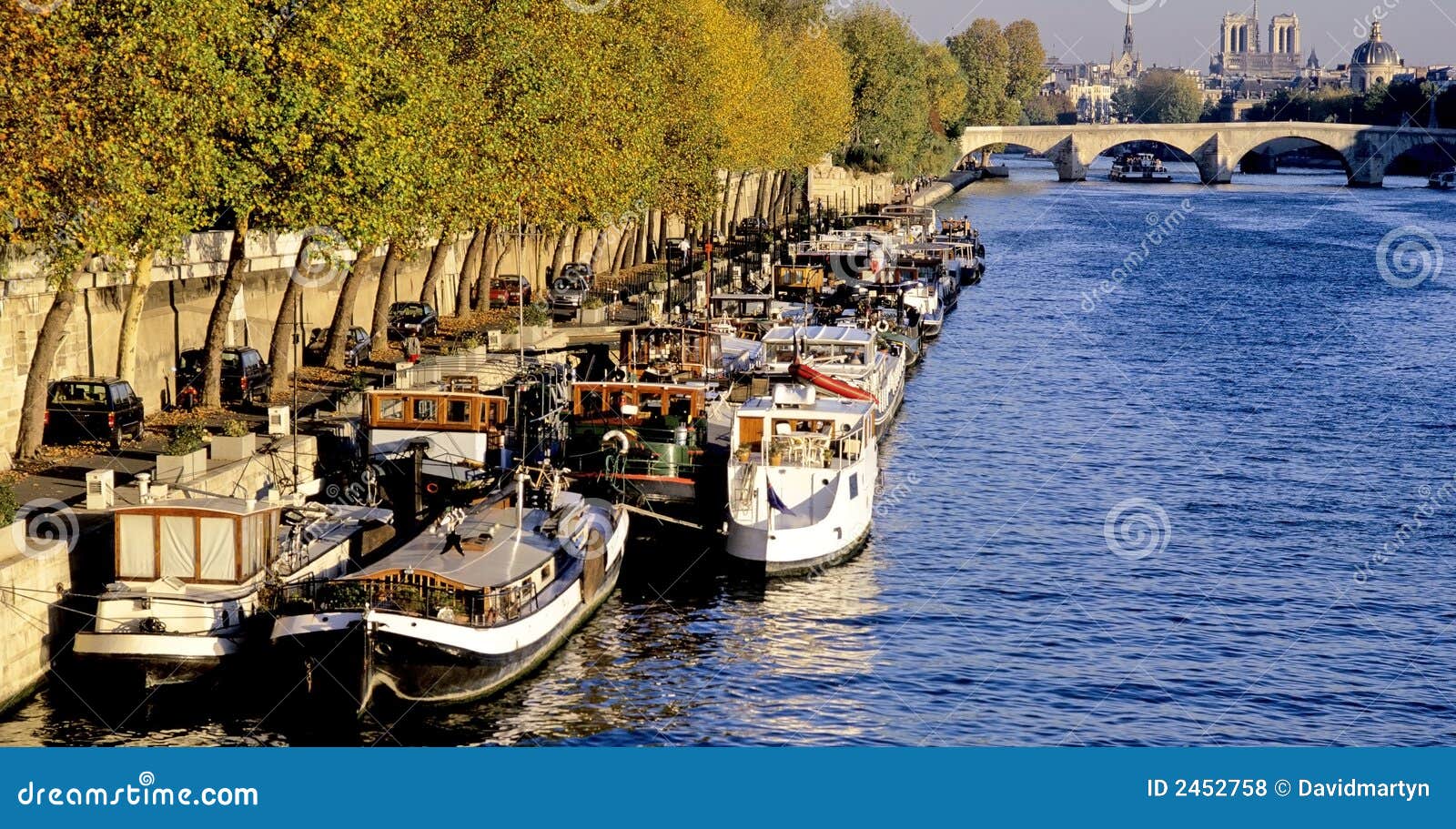 Senna Parigi del fiume fotografia stock. Immagine di parigi - 2452758