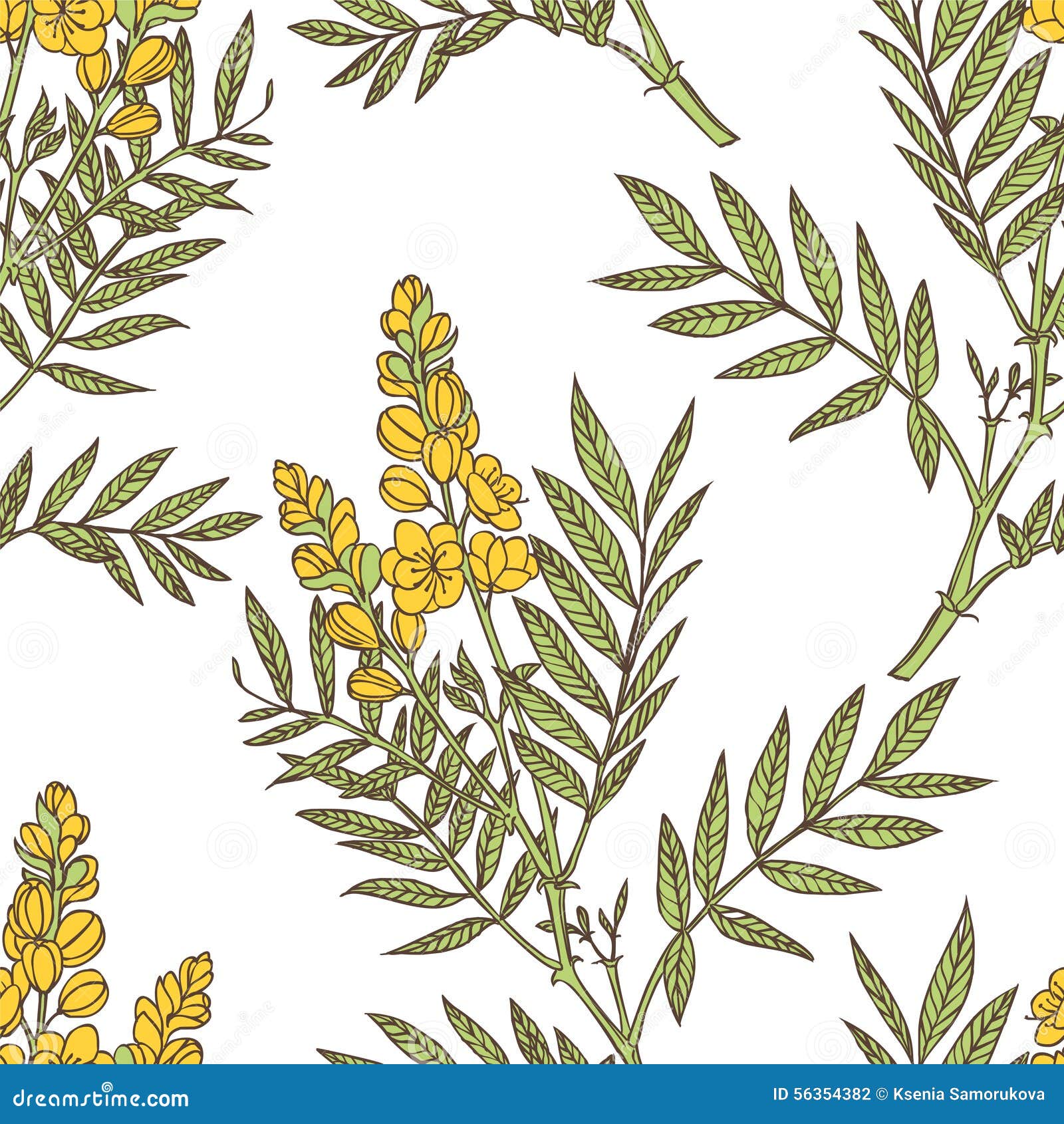 Senna Plant Seamless Pattern Stock Vector - Illustration of plant ...