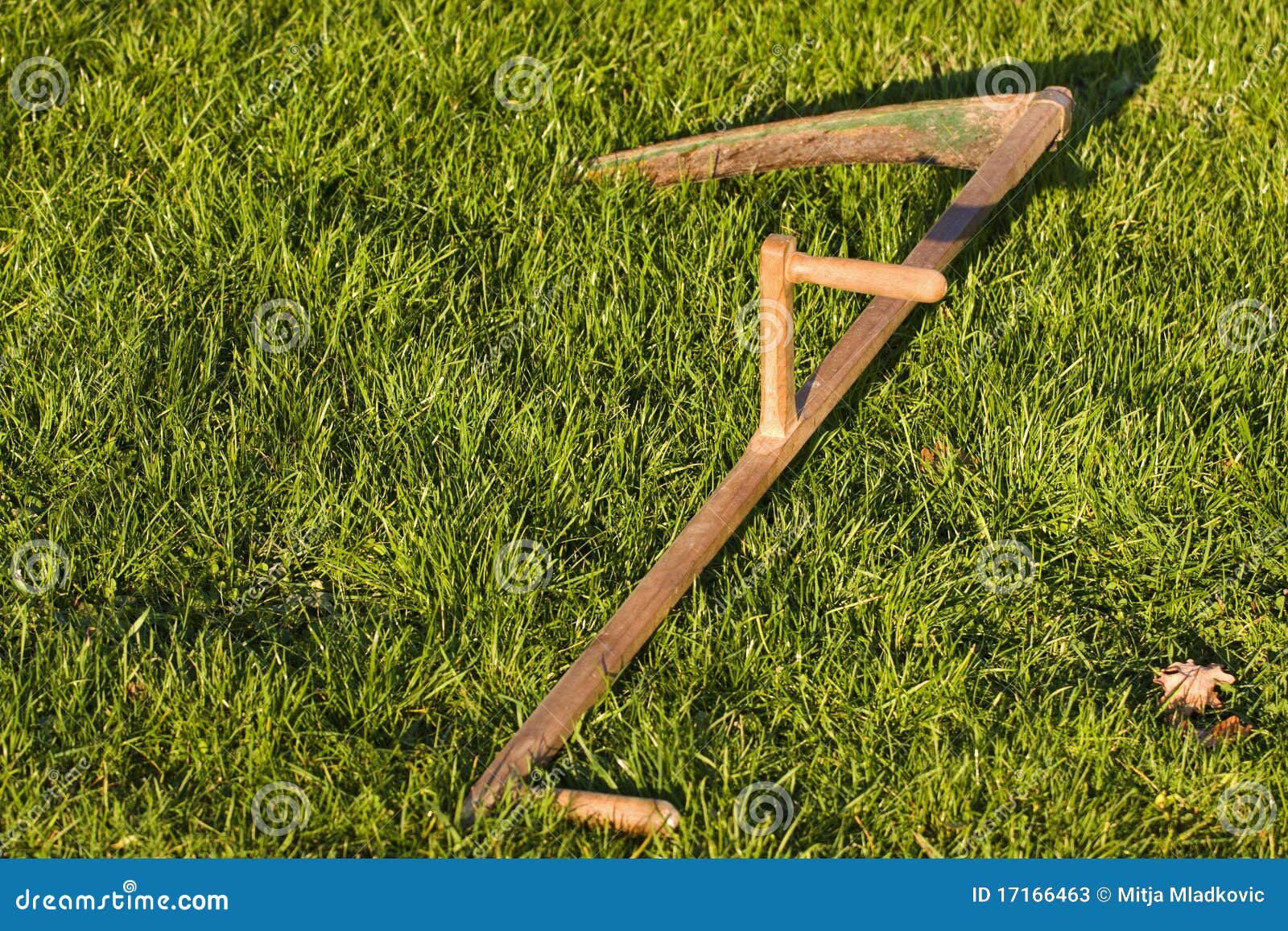 Sense im Gras stockbild. Bild von scherblock, landwirtschaftlich - 17166463