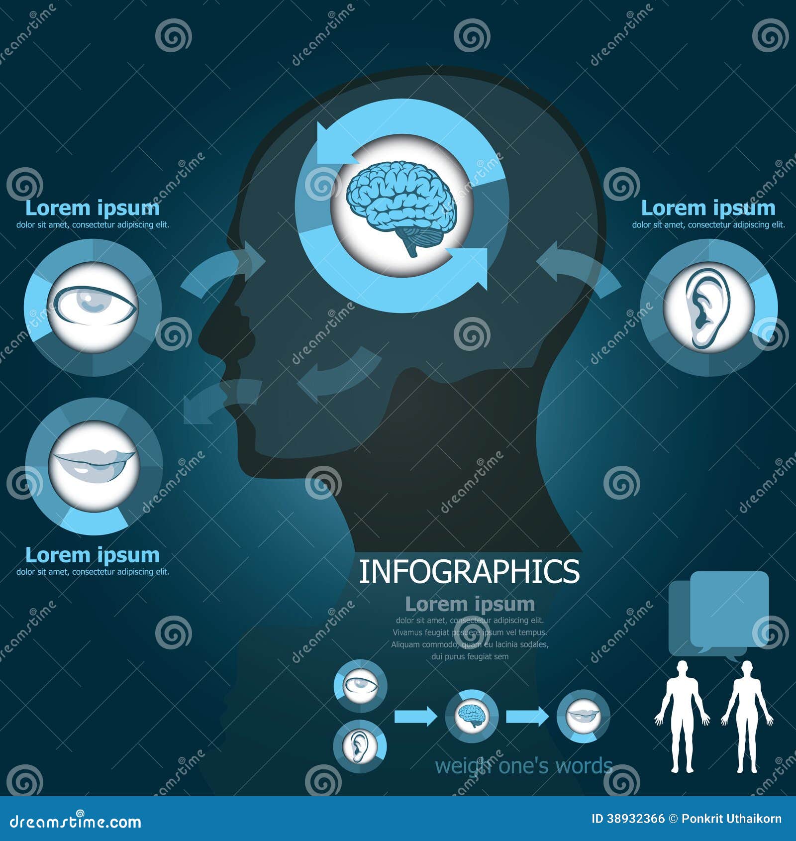 Sense & Intellection Design Stock Vector - Illustration of graphics ...