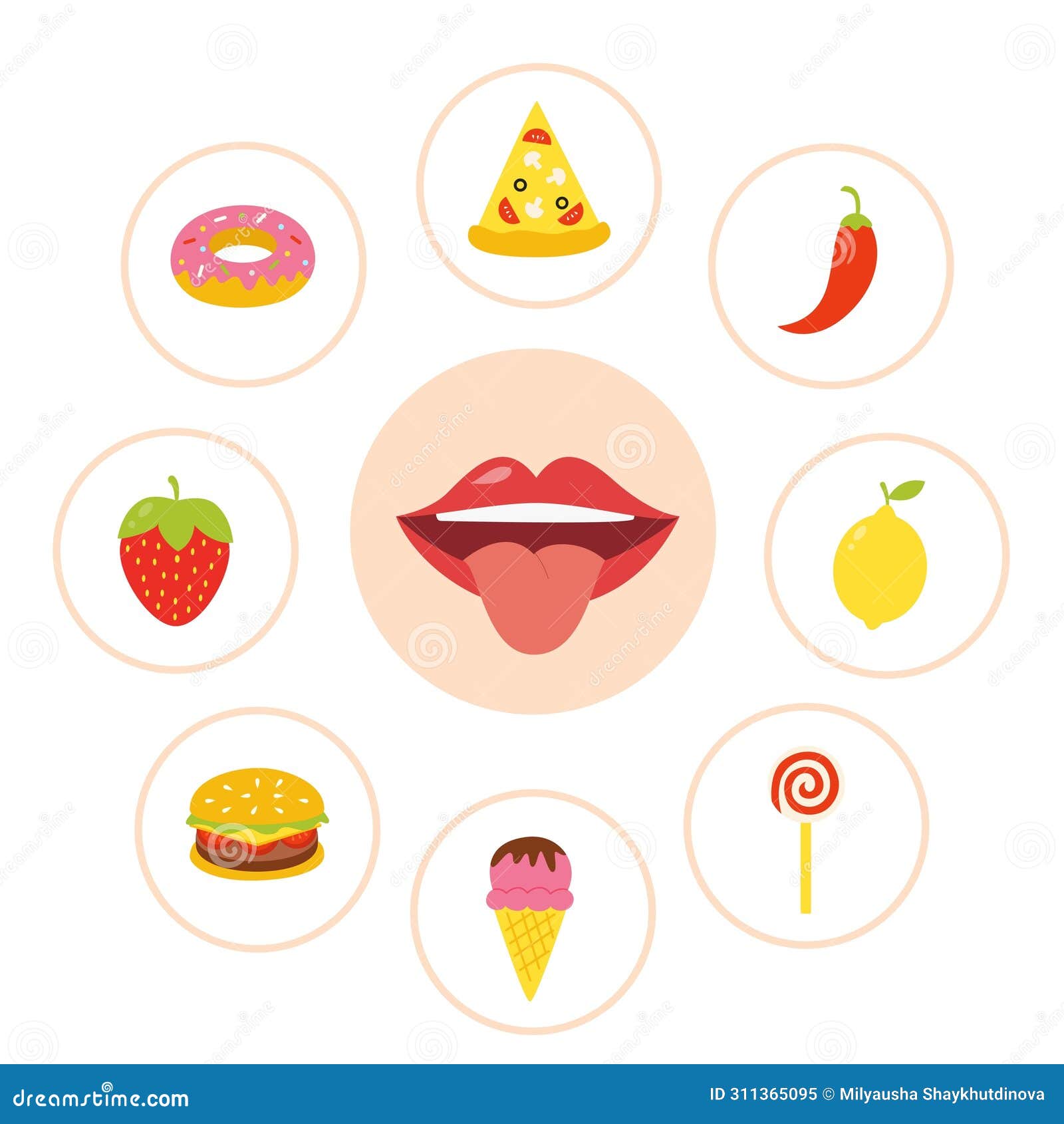 Sense Organs Poster. Vector Illustration. Sense of Taste. Stock Vector ...
