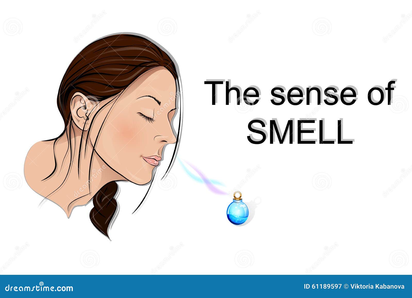 The sense of smell stock vector. Illustration of allergology - 61189597 The sense of smell stock vector. Illustration of allergology - 61189597