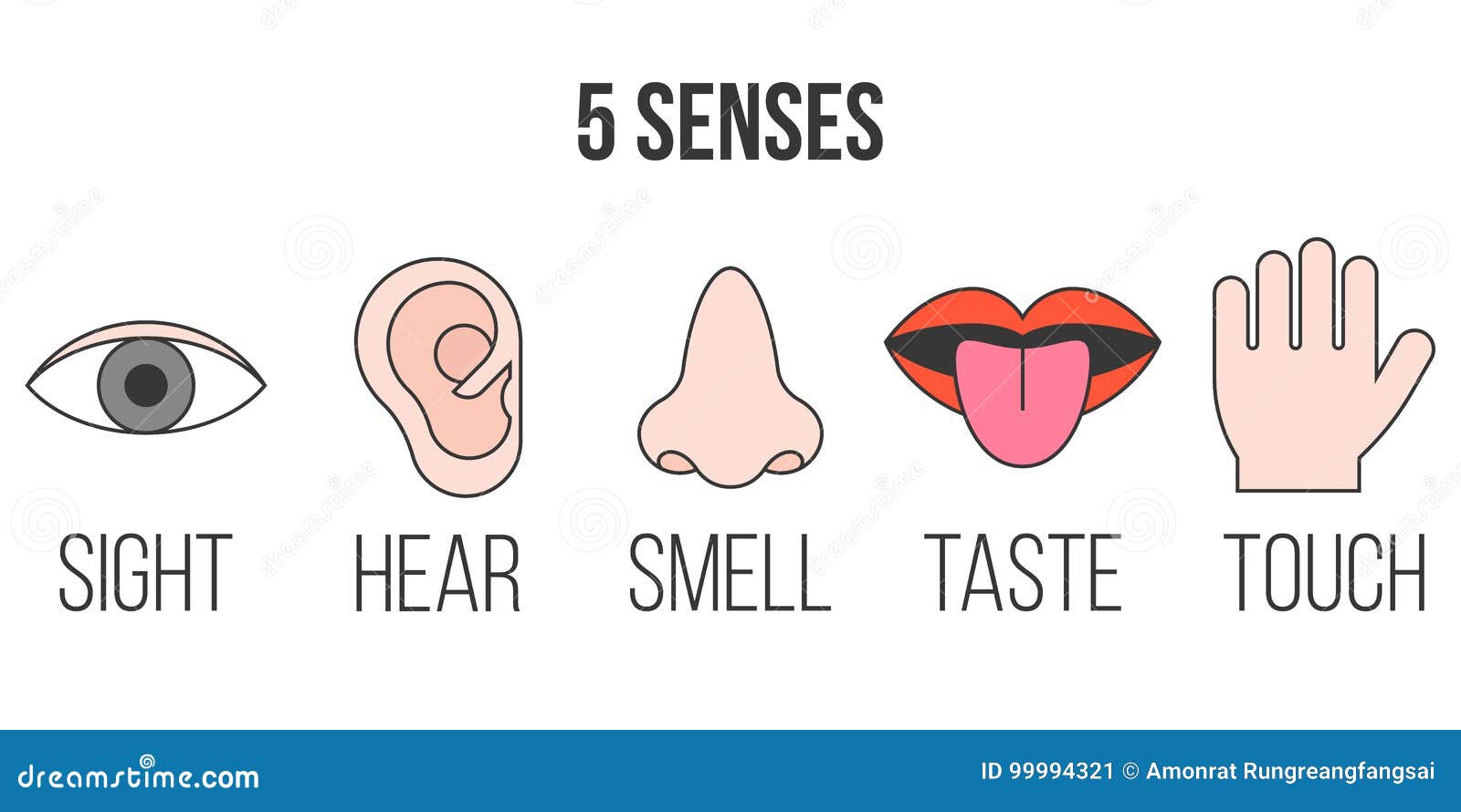 5 senses icon stock vector. Illustration of nose, smell - 99994321