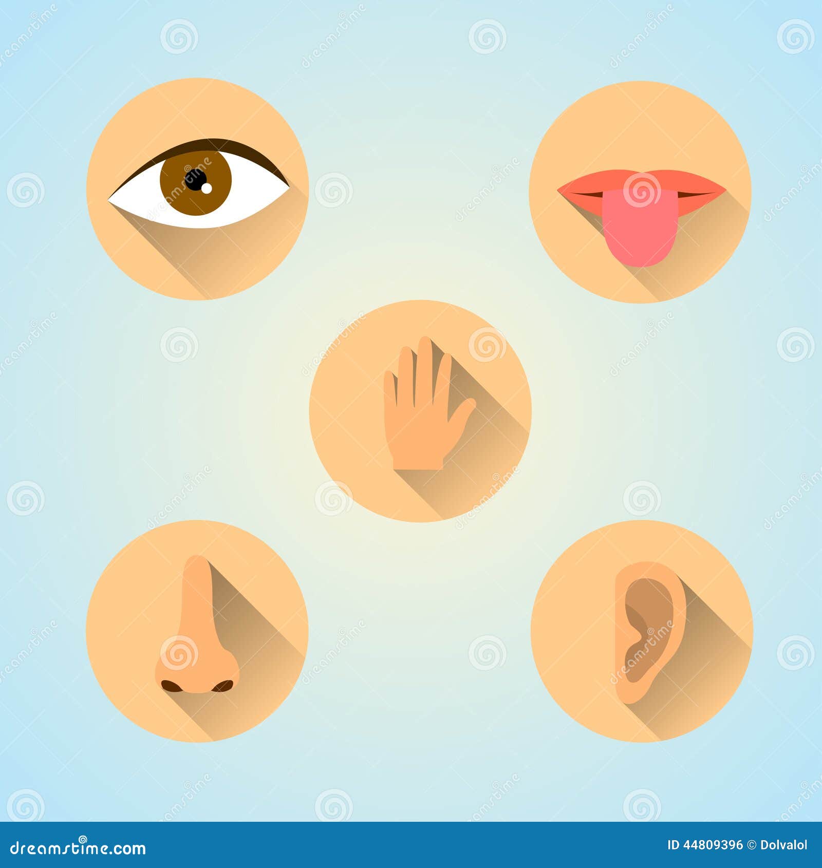 Senses icons stock vector. Illustration of hand, face - 44809396