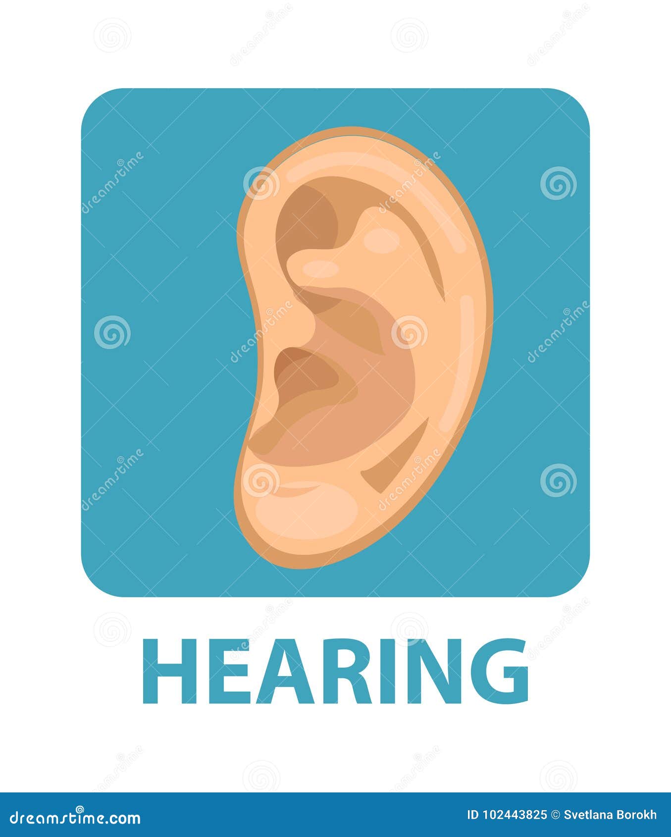 Ear Hearing Icon Logo Sign Vector Outline | CartoonDealer.com #329960489