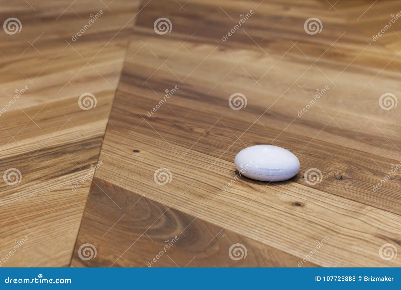 Sensor for Leaks and Temperature on the Floor. Flood Sensor. Stock ...