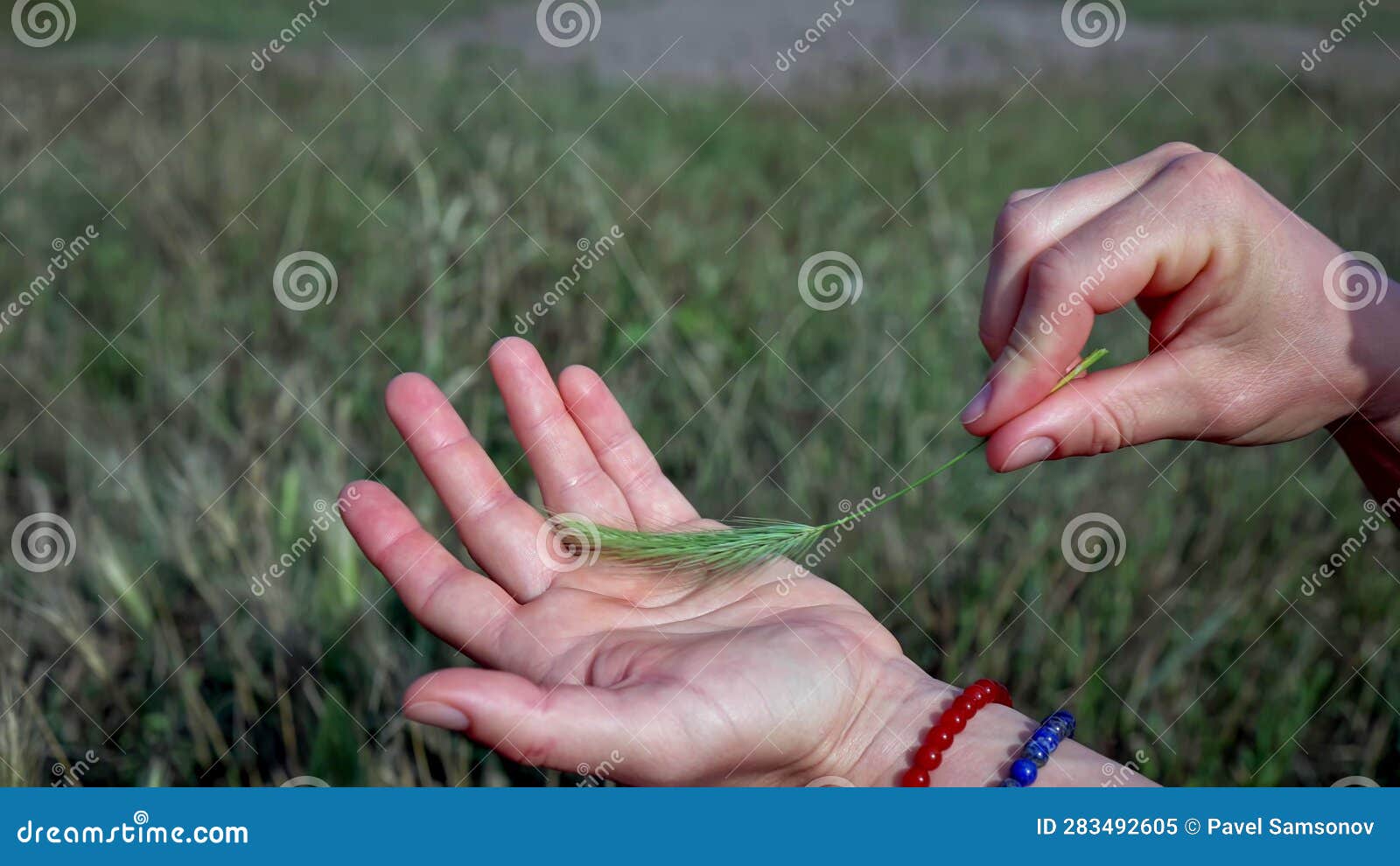 Sensory Friendly Environment Stock Photos - Free & Royalty-Free Stock ... Sensory Friendly Environment Stock Photos - Free & Royalty-Free Stock ...