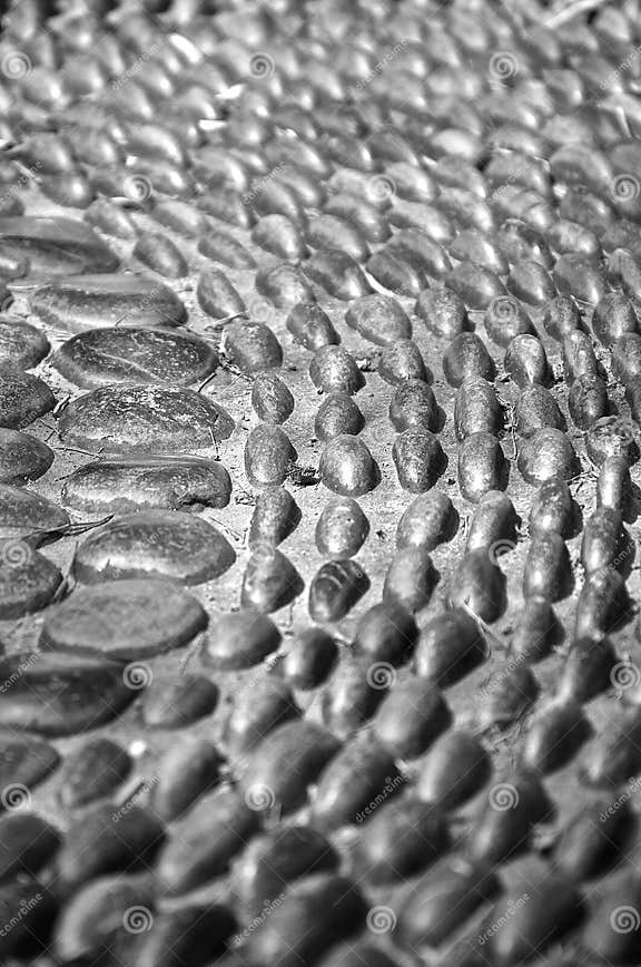 Sensory foot path stock image. Image of sign, flooring - 129513797