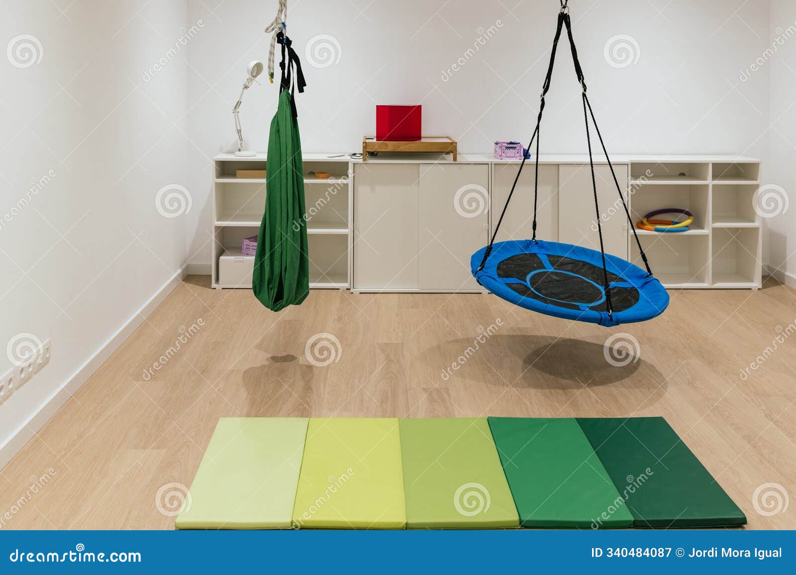 Sensory Integration Therapy Room with Swings and Mats for Children ...