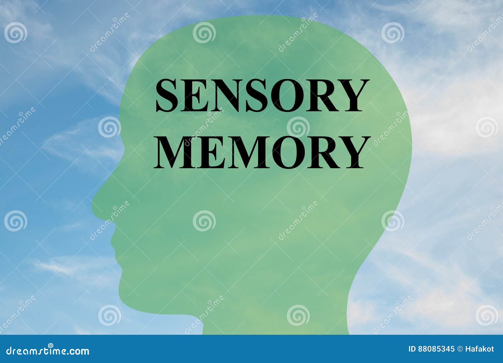 Sensory Memory concept stock illustration. Illustration of head - 88085345