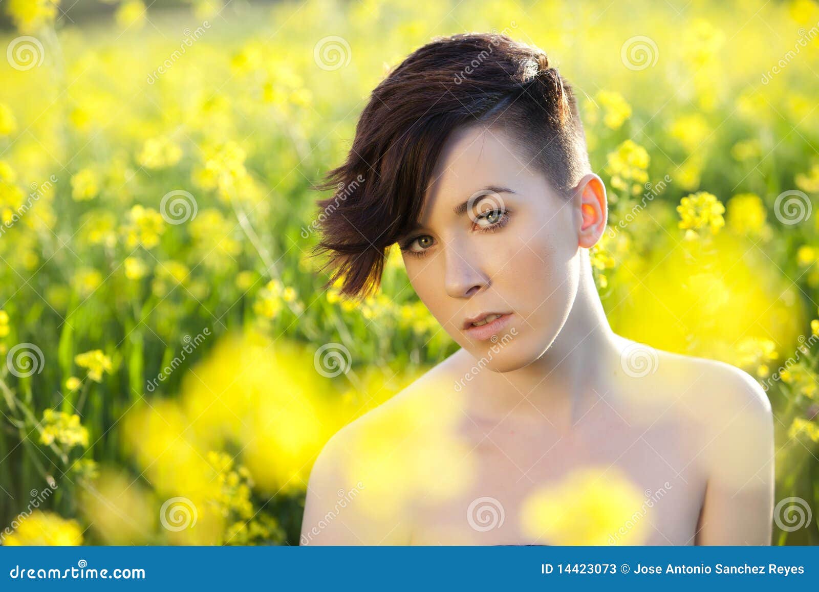 Sensual girl portrait stock image. Image of girls, haircut - 14423073