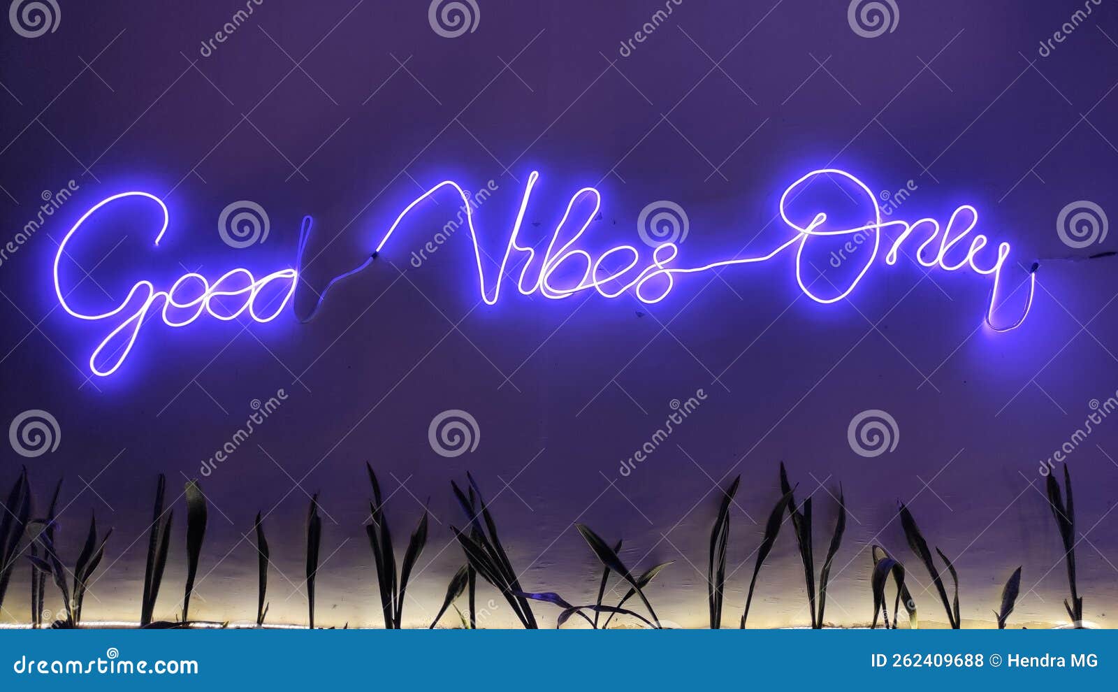 The Sentence Good Vibes only from LED Lights Stock Photo - Image of ...