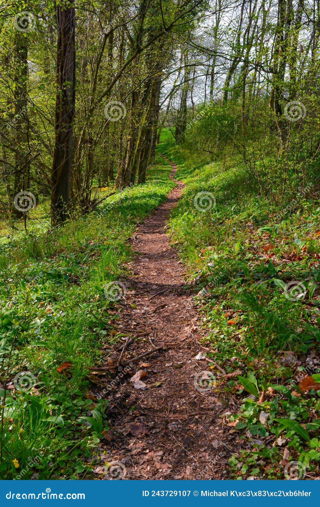Sentier Forestier Sentier Chemin Forestier Sentier Sentier Sentier ...