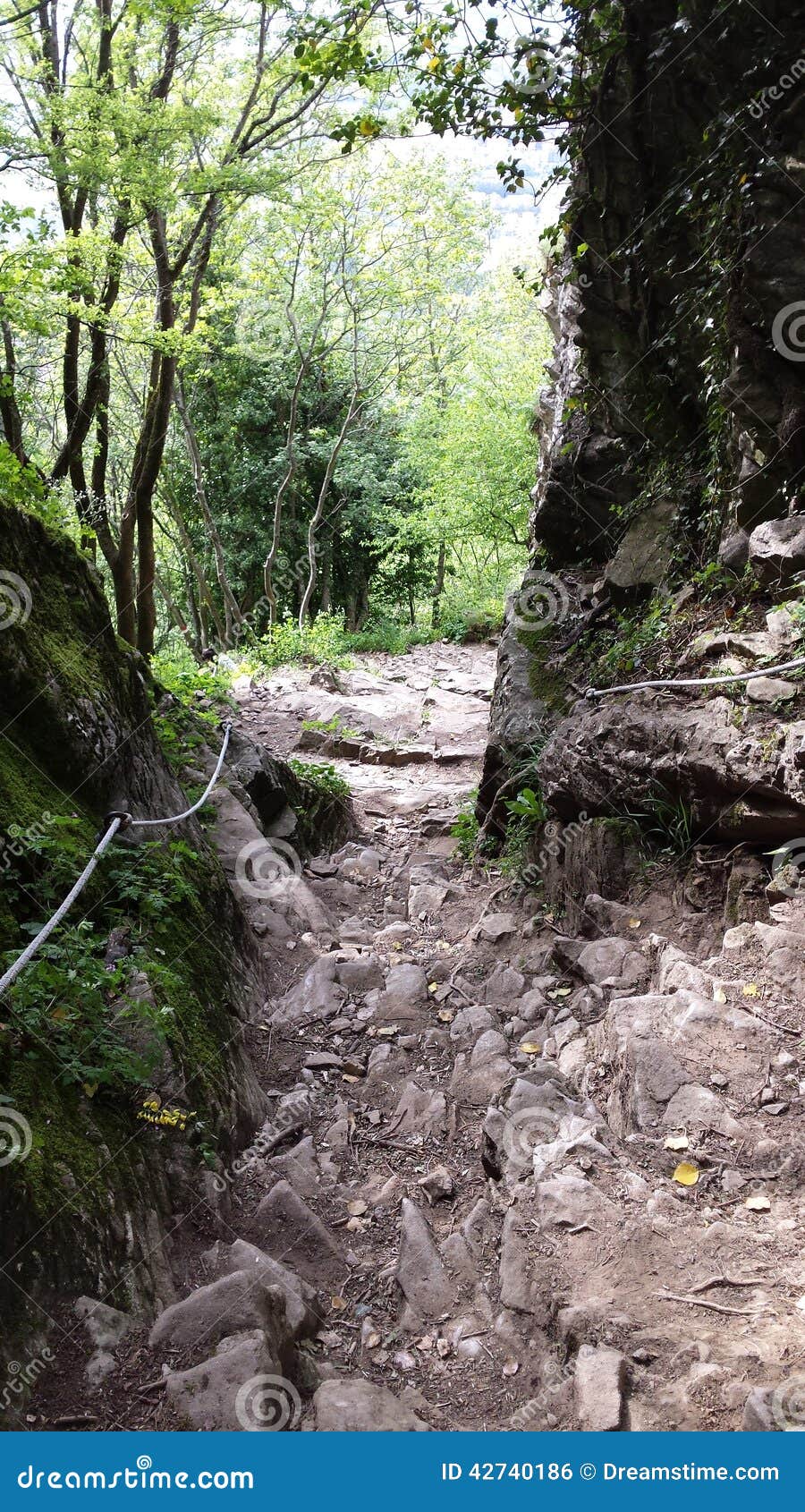 Sentiero di montagna stock photo. Image of montagna, sentiero - 42740186