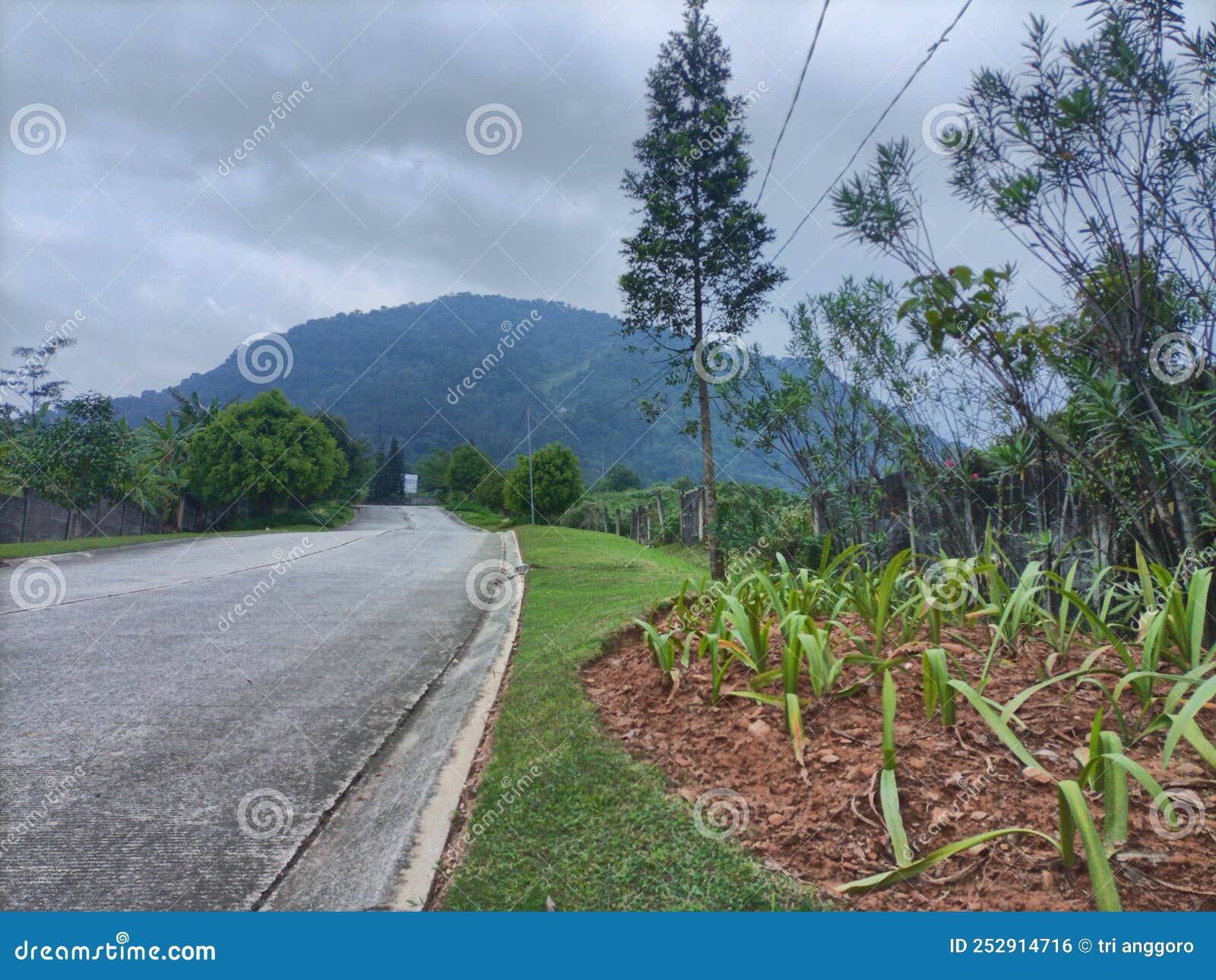 Sentul Hill Stock Photos - Free & Royalty-Free Stock Photos from Dreamstime