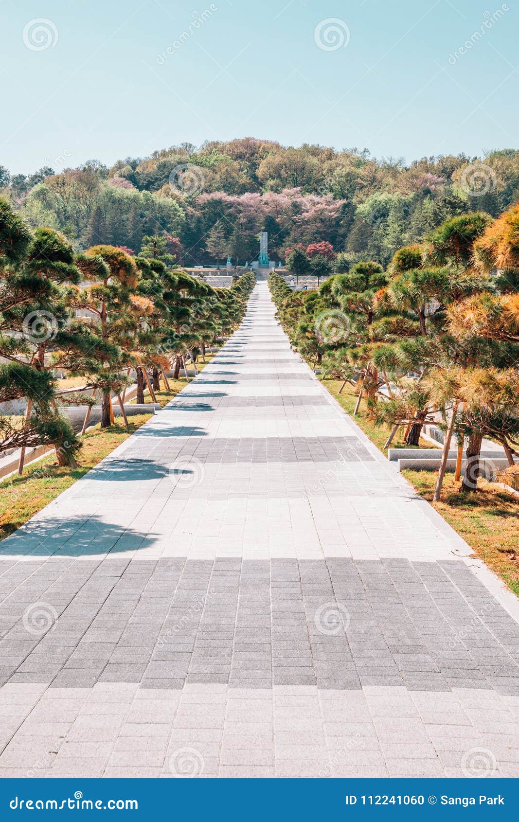 Seoul National Cemetery at Spring in Korea Editorial Image - Image of ...