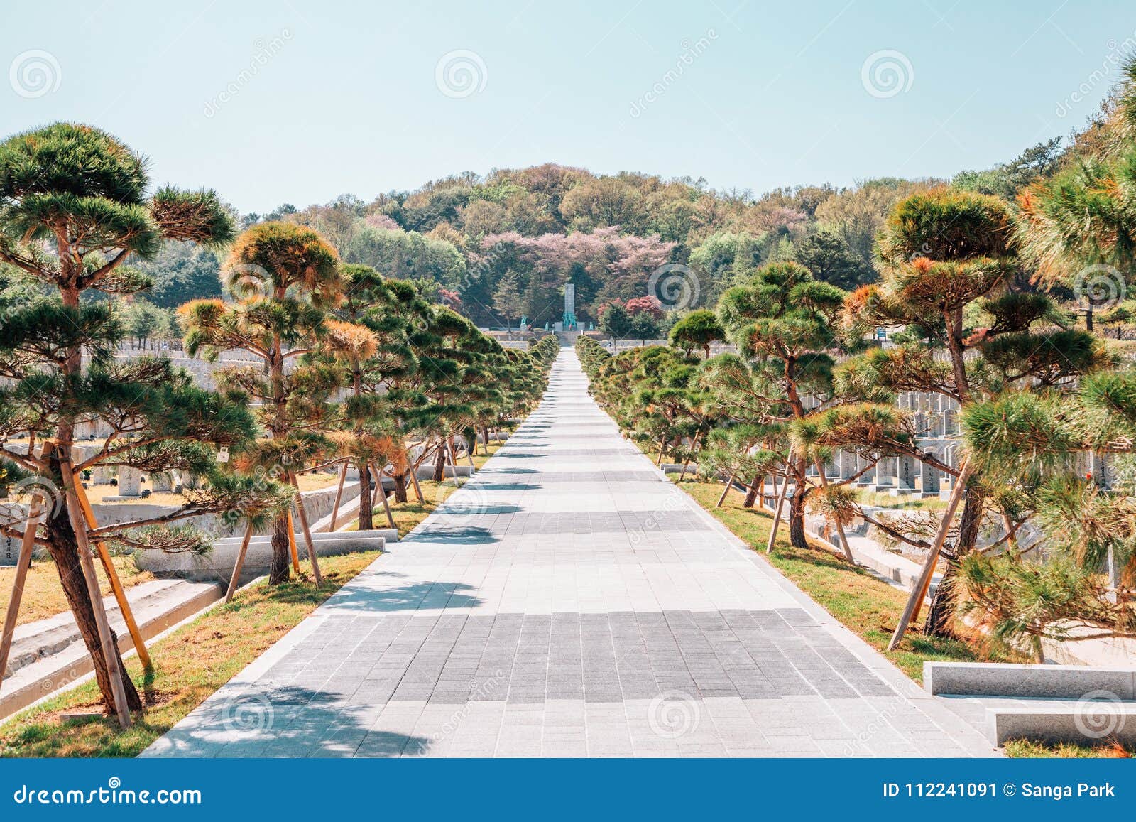 Seoul National Cemetery at Spring in Korea Editorial Photo - Image of ...