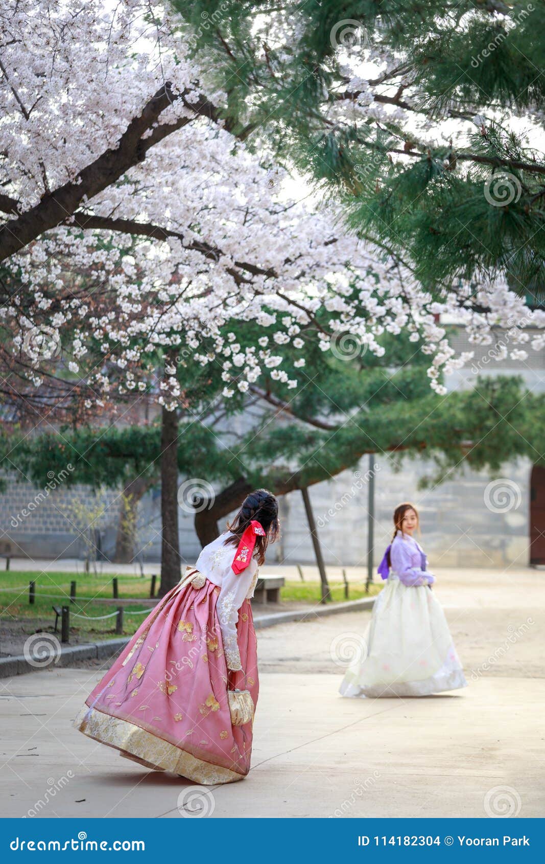 Asian Korean Woman Dressed Hanbok Traditional Dress Walking Nami Island