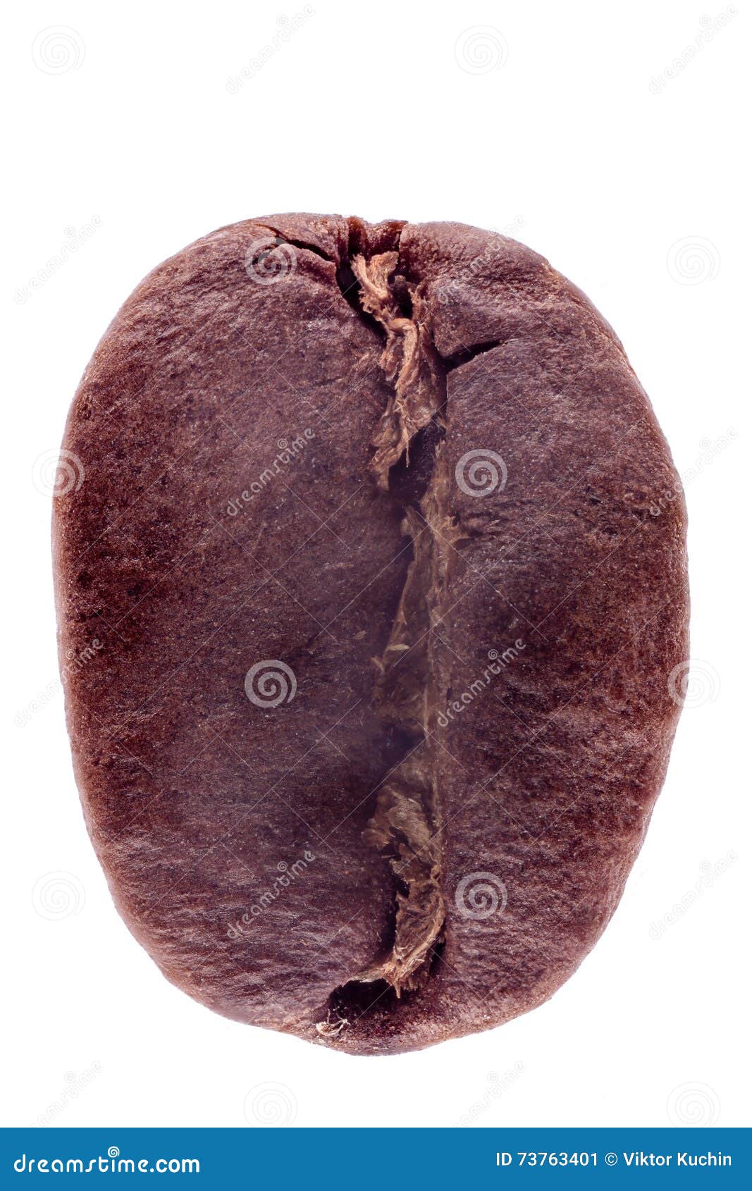 Separate Grains of Roasted Coffee. Stock Image - Image of boost, large ...