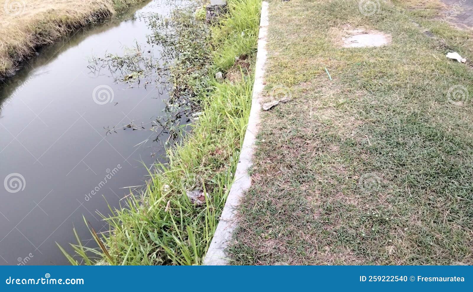 Separate Paths in Same Area Stock Photo - Image of yard, canal: 259222540