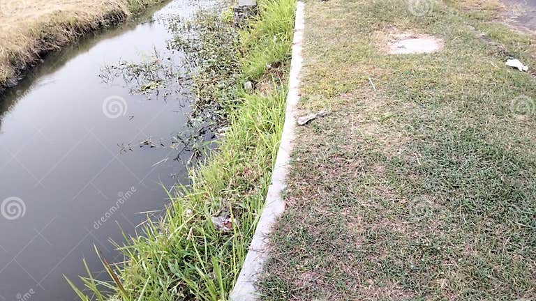 Separate Paths in Same Area Stock Photo - Image of yard, canal: 259222540