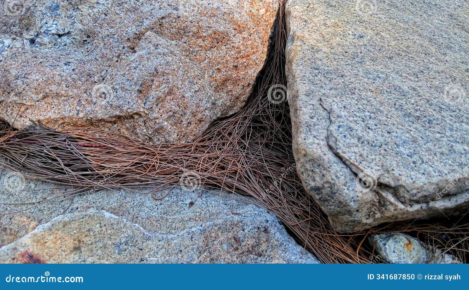 Separate Rock Surface Structure, Seen Up Close Stock Photo - Image of ...