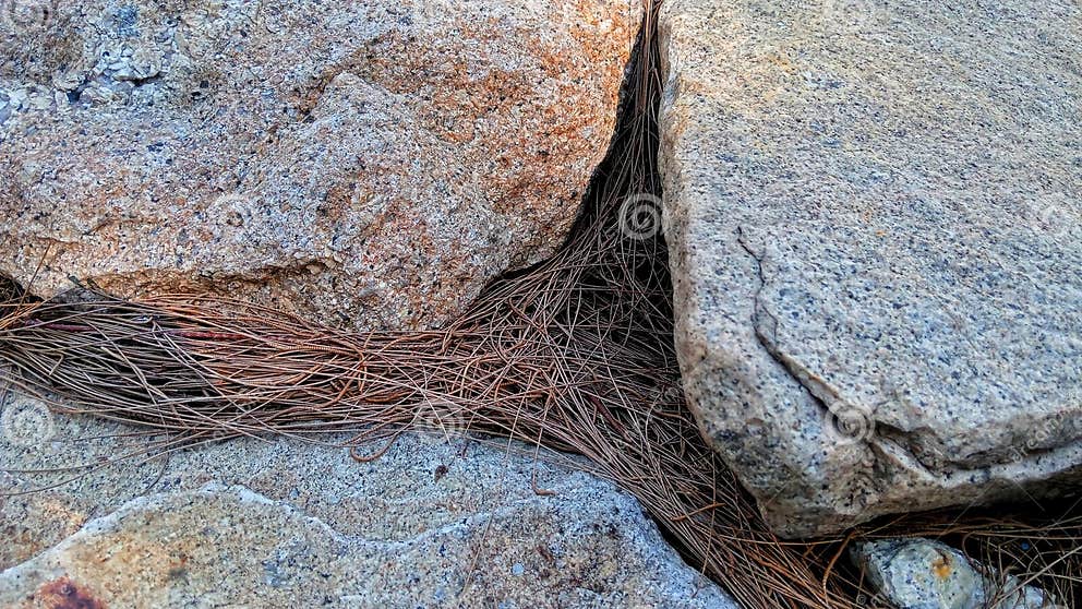 Separate Rock Surface Structure, Seen Up Close Stock Photo - Image of ...