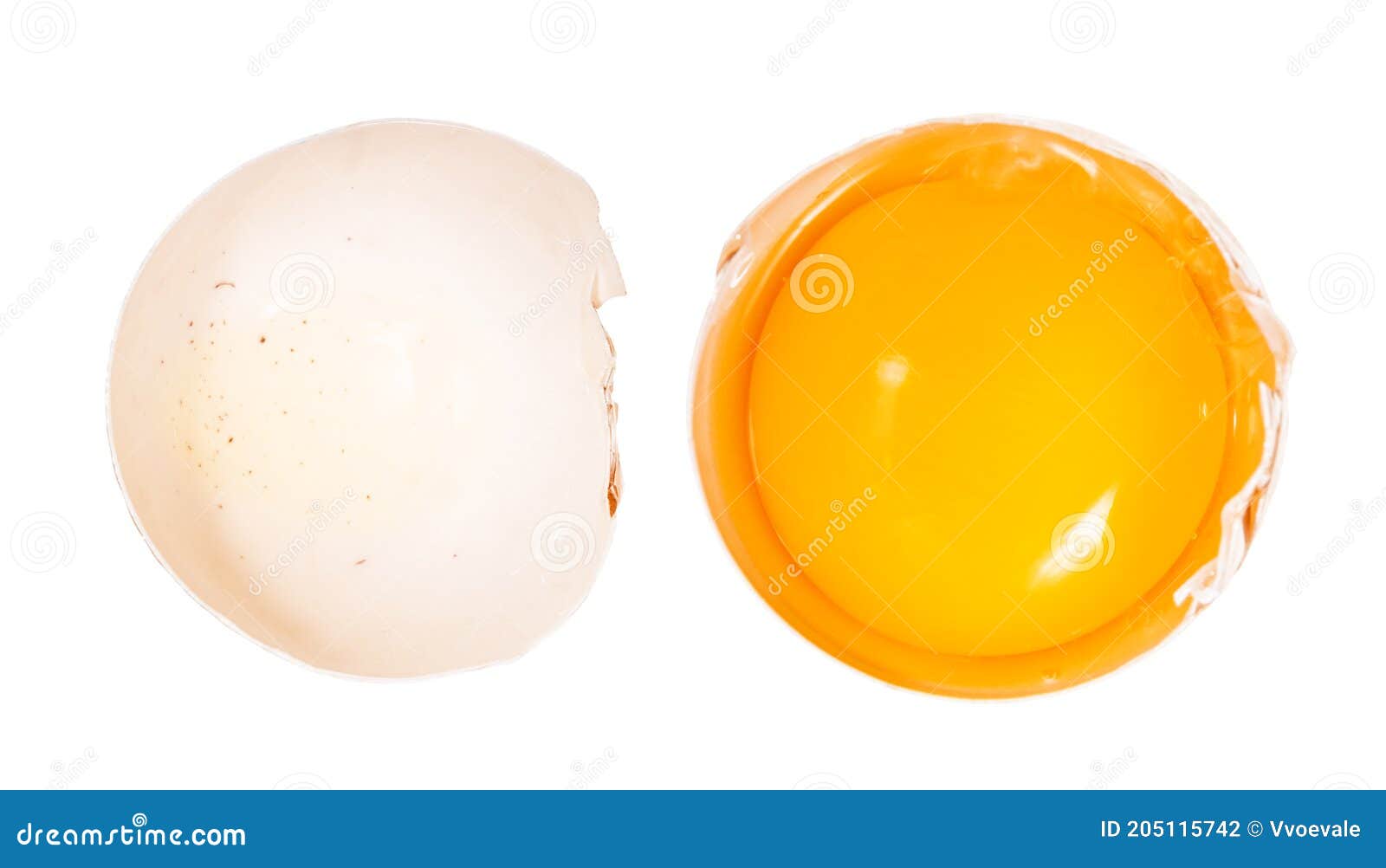 Separated Egg Yolk in Shell and Empty Shell Stock Photo - Image of crack, object: 205115742