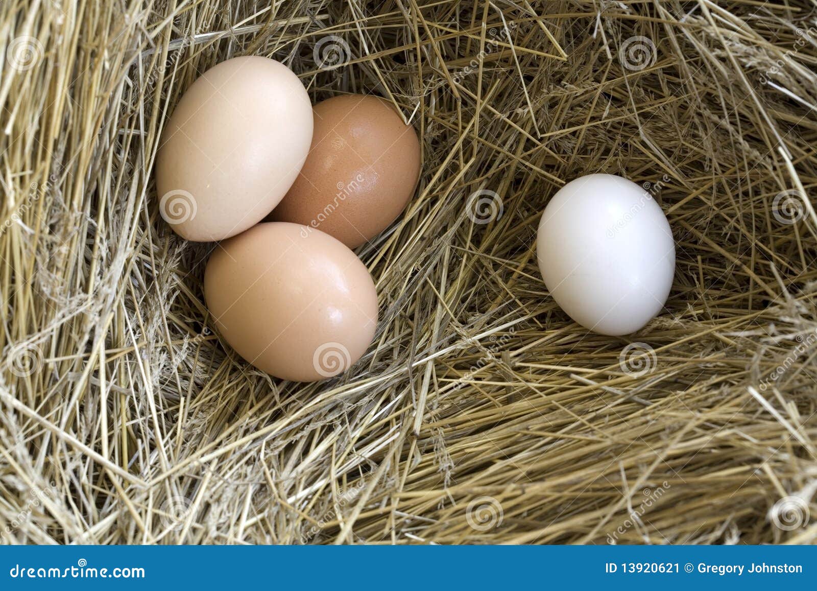 Separated eggs. stock image. Image of brown, background - 13920621