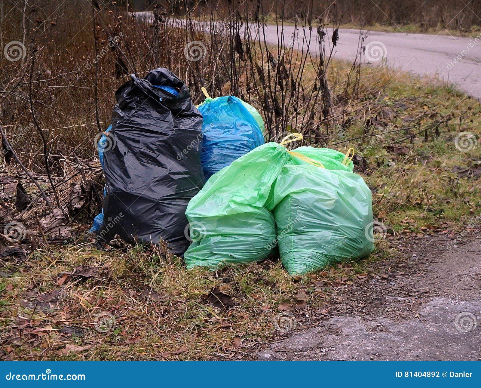 Separated Waste in the Forest Stock Photo - Image of blue, landfill ...