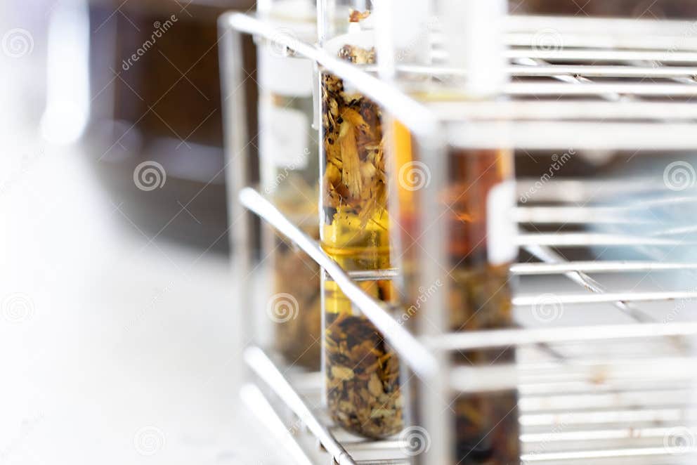 Separating by Filtration and Evaporation Condensation the Component ...