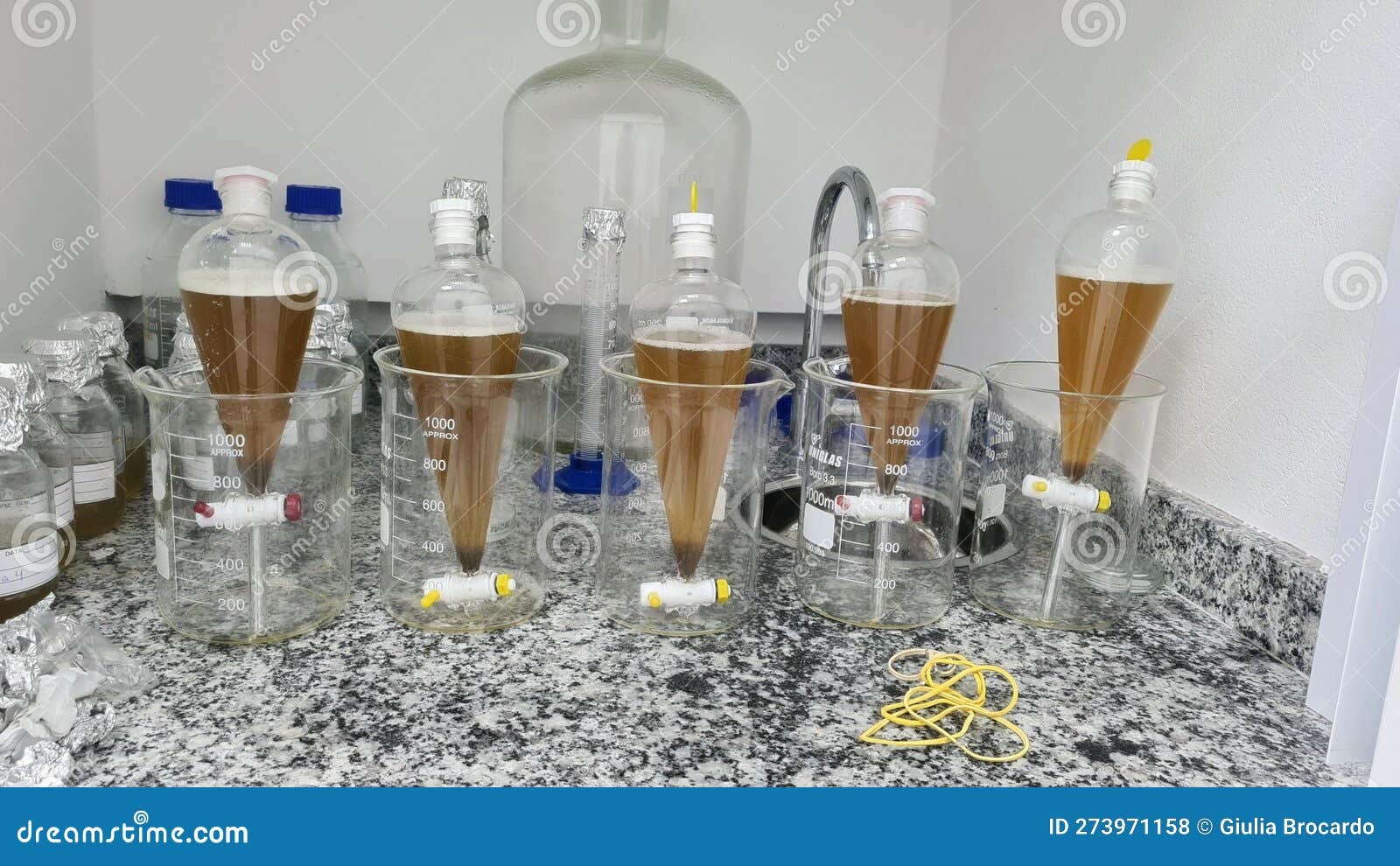 Separation Funnels with Biological Samples after Being Digested Waiting ...
