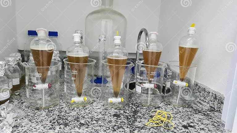 Separation Funnels with Biological Samples after Being Digested Waiting ...