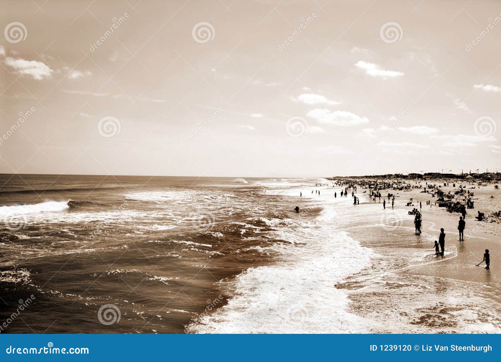 Sepia Beach stock photo. Image of beach, tide, water, seashore - 1239120