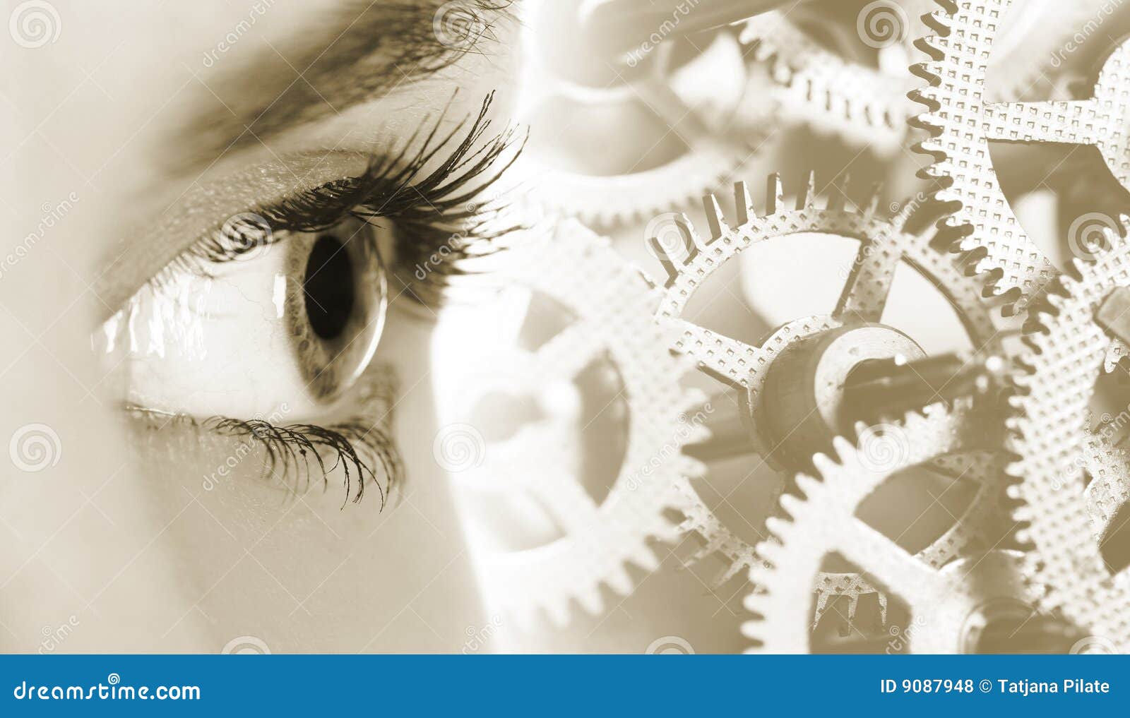 Sepia gear stock photo. Image of head, eyesight, look - 9087948