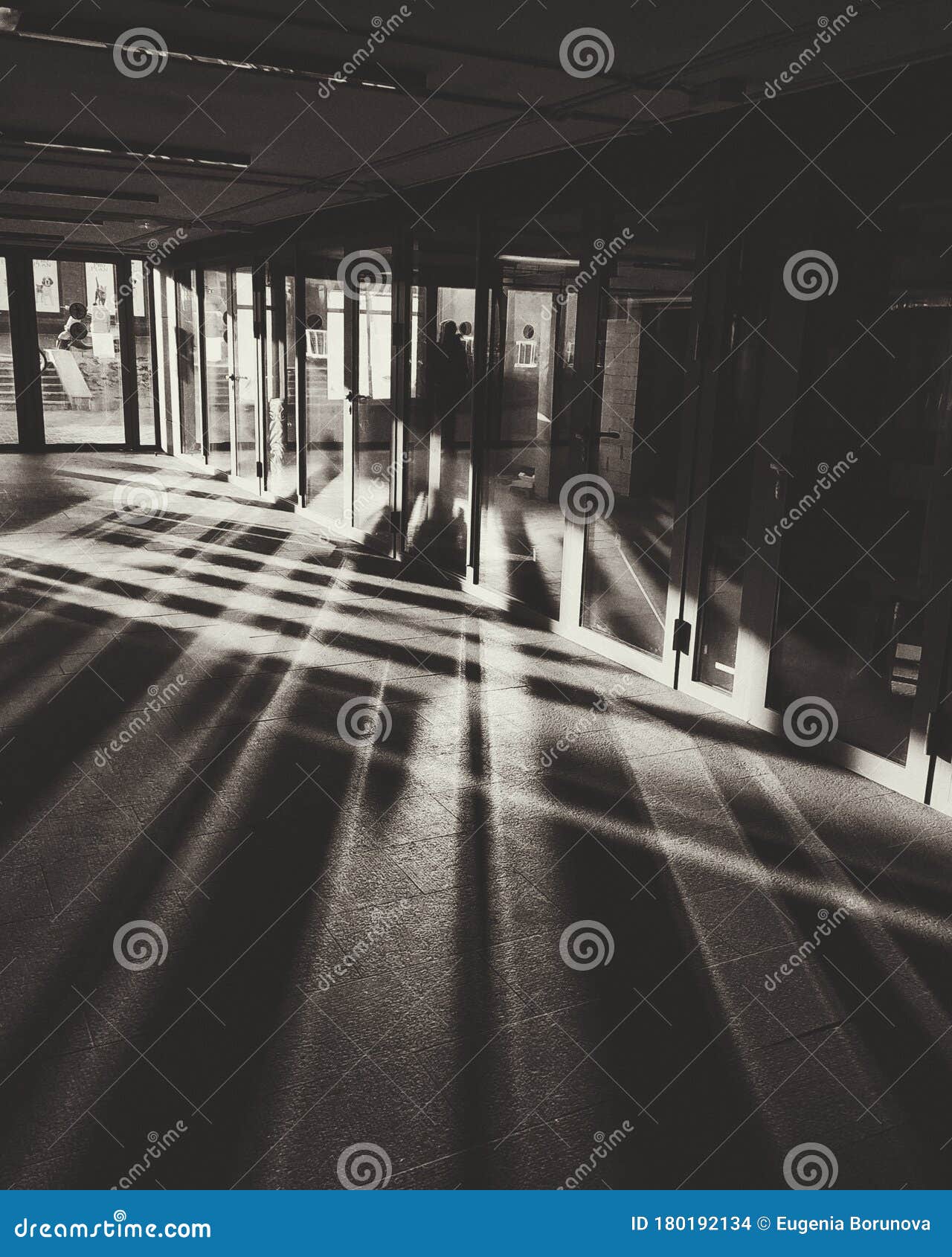 Sepia Photography, Lights and Shadows, Evening Lights Stock Photo ...