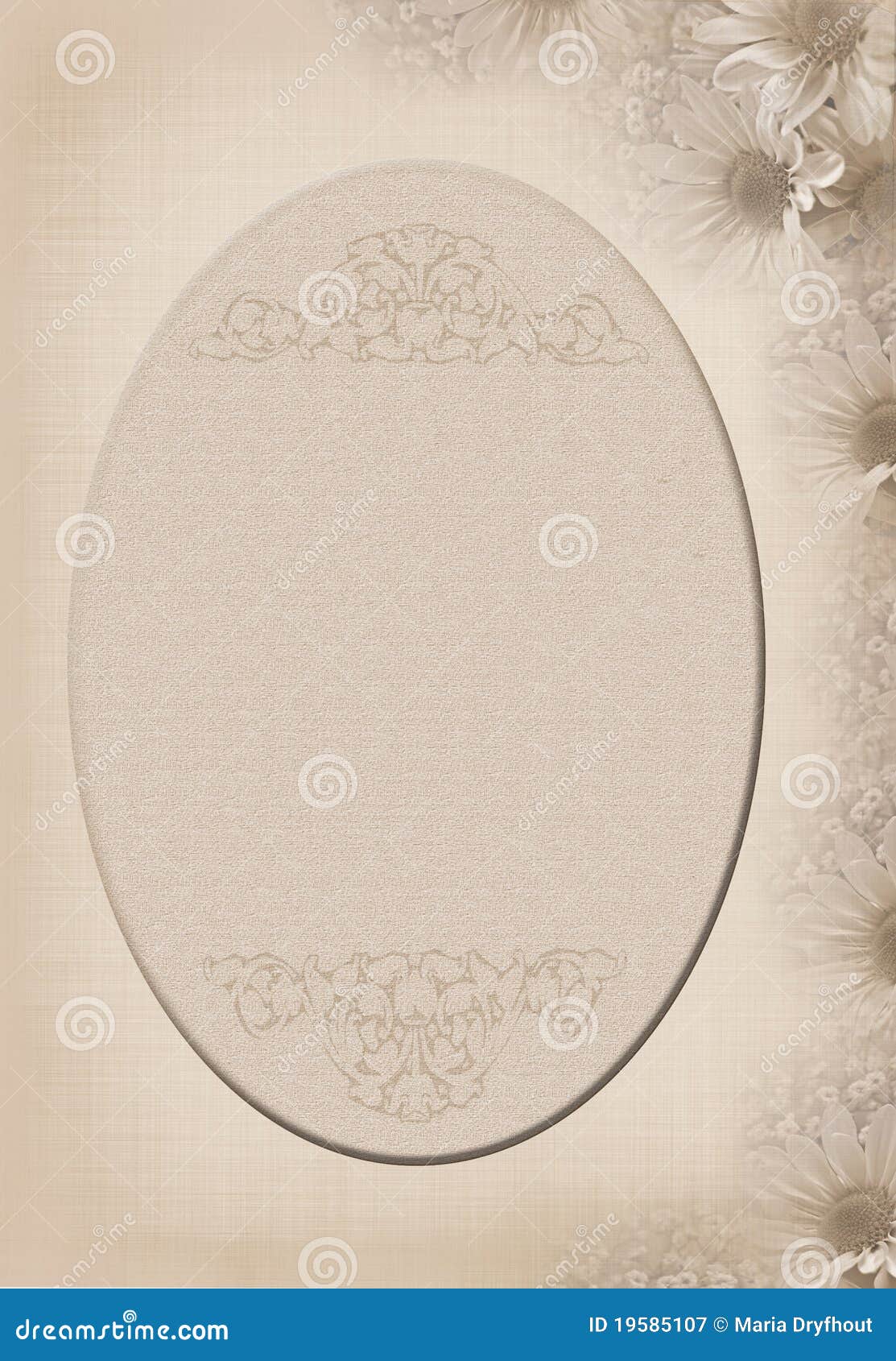 Sepia soft daisy border stock illustration. Illustration of elegant ...